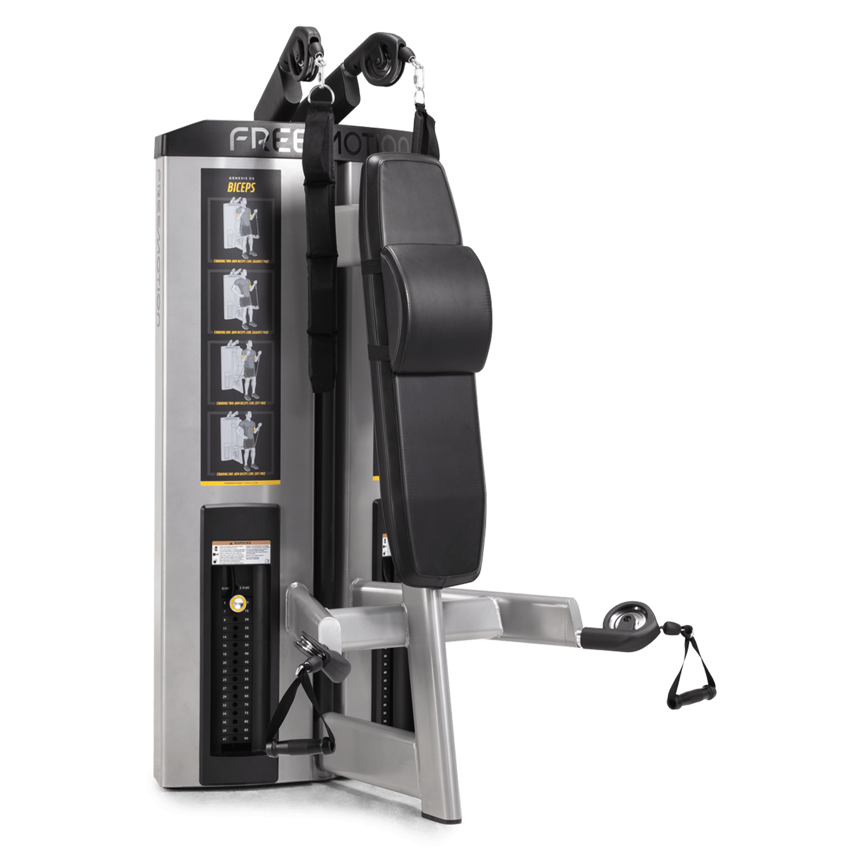GENESIS DS ABDOMINAL / BICEPS GD501